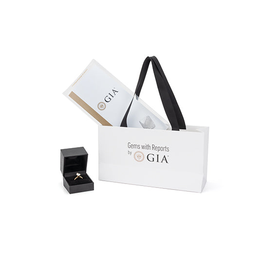 GIA Shopping Bag - Set of 5 – GIA Store